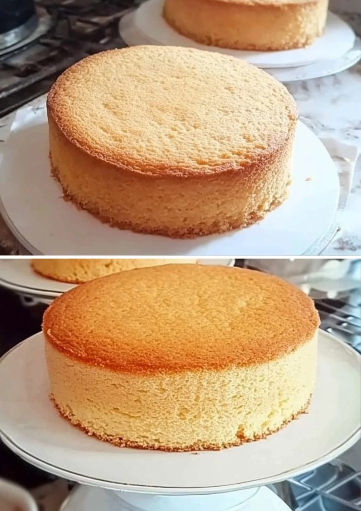 Classic Sponge Cake Recipe – Best Recipes Ever